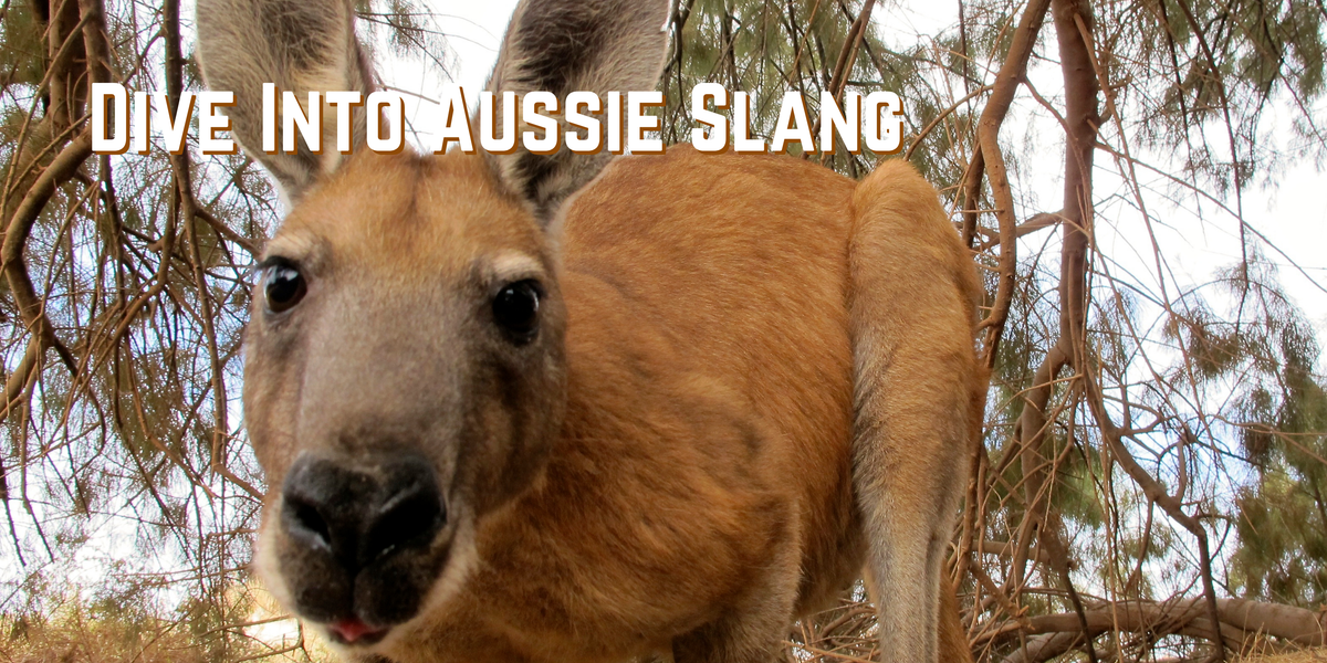 G’day! Dive Into Aussie Slang| Australian Native T-Shirts