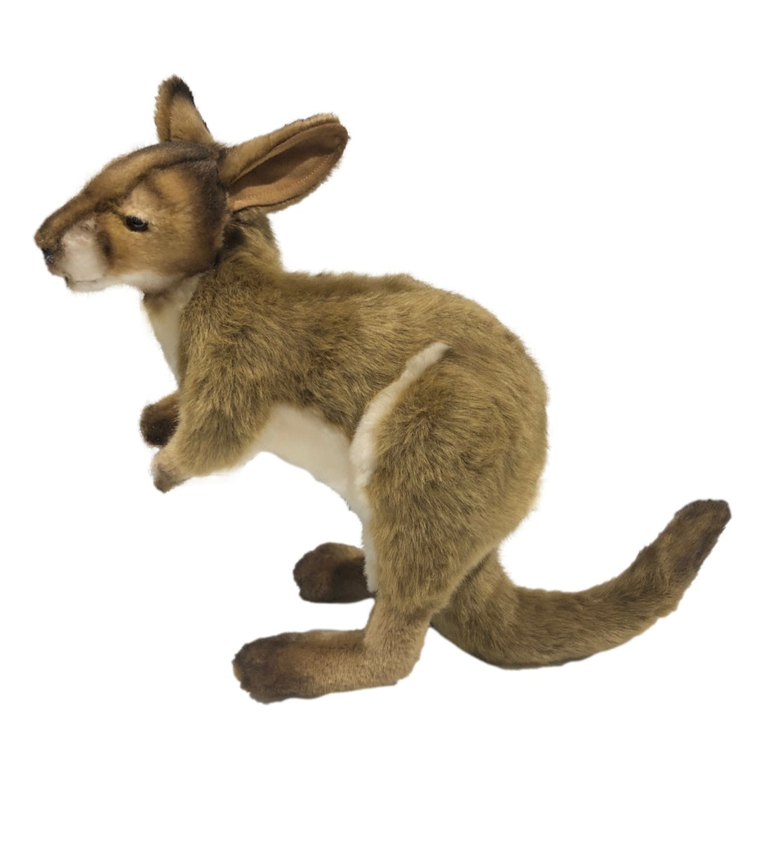 Standing Wallaby Stuffed Animal Toy (33cm Tall) - Native Animal Toys ...